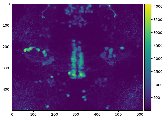 打开LIF文件 — Bio-image Analysis Notebooks