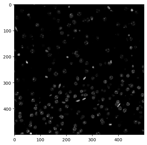 Formatos de arquivo de imagem em mosaico: zarr — Bio-image Analysis ...