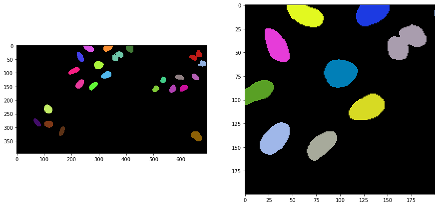 Rotulação de Gauss-Otsu — Bio-image Analysis Notebooks