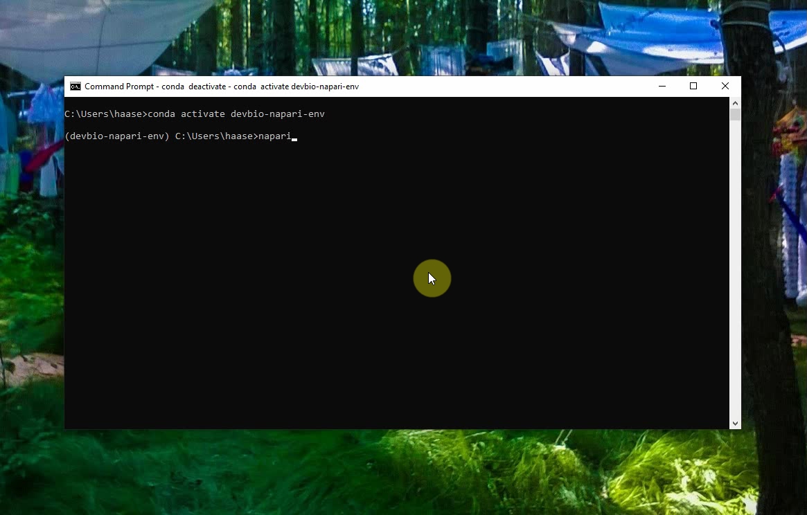 O Assistente Napari — Bio-image Analysis Notebooks