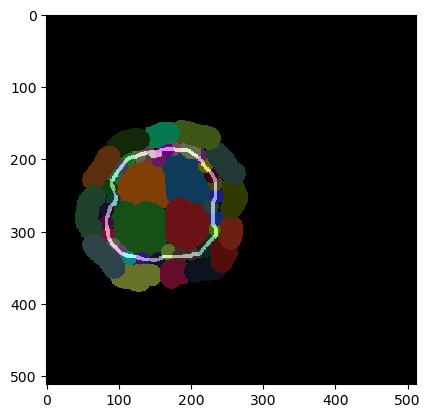 Fusión de etiquetas anotadas — Bio-image Analysis Notebooks