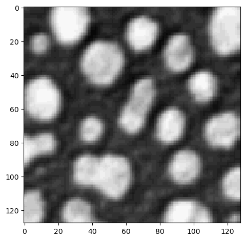 Recorte de imágenes — Bio-image Analysis Notebooks