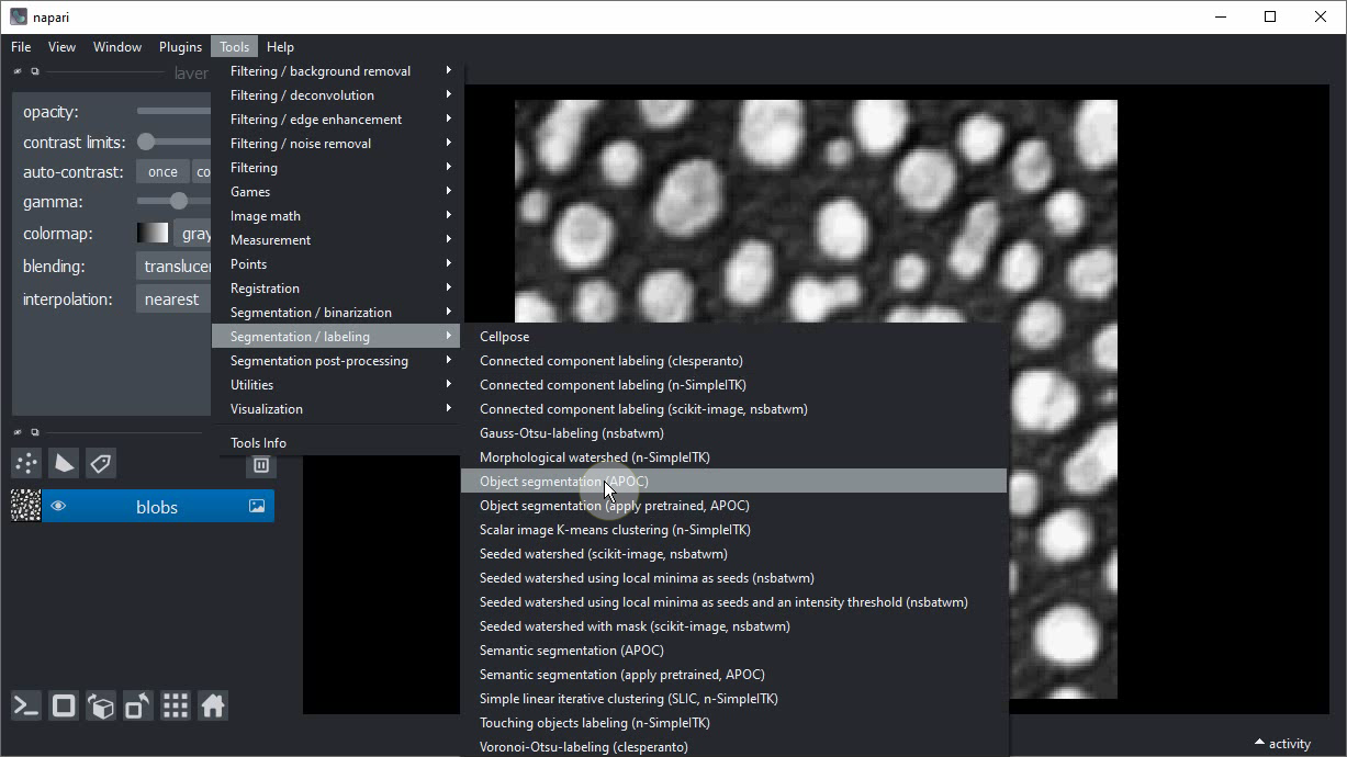 Clasificación interactiva de píxeles y segmentación de objetos en Napari — Bio-image Analysis ...