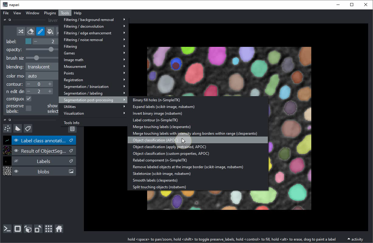 Clasificación interactiva de objetos en Napari — Bio-image Analysis Notebooks