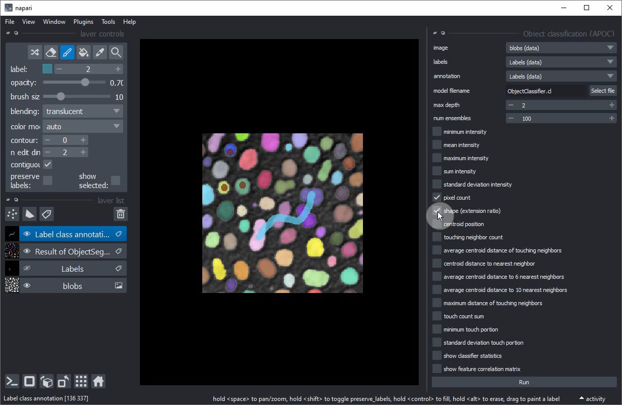 Clasificación interactiva de objetos en Napari — Bio-image Analysis Notebooks
