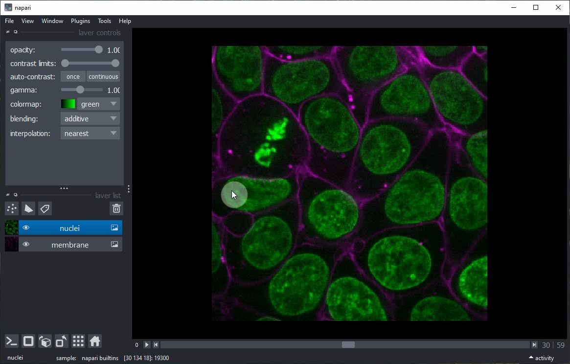 El Asistente de Napari — Bio-image Analysis Notebooks