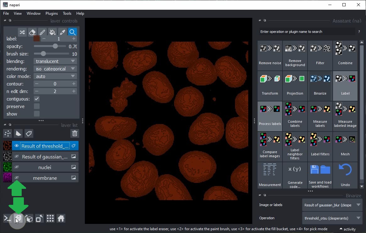 El Asistente de Napari — Bio-image Analysis Notebooks