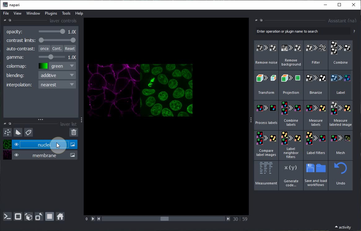 El Asistente de Napari — Bio-image Analysis Notebooks